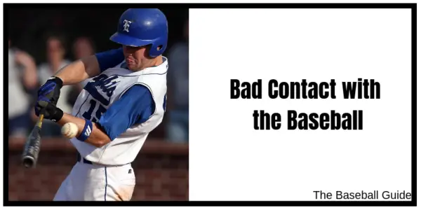 How to Tell If Your Bat is Dead? - Signs of a Dead Bat